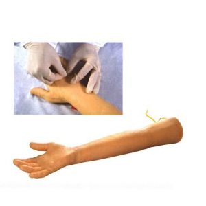 Advanced elderly venipuncture training arm model-Clinical Medicine Models