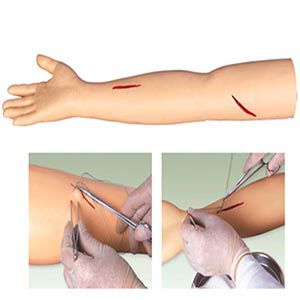 Senior Surgical Arm Suture Training Model-Clinical Medicine Models