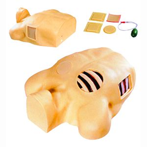 Thorax Puncture Drainage Model-Medical Series