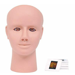 Medical Training Inspection Eye Model for Intraocular Retinopathy ...
