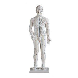 Acupuncture Series-ADA MED SUPPLY LIMITED