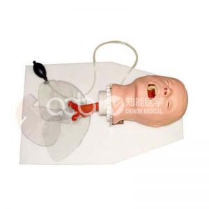 Trachea intubation Training Model-Emergency Models-Henan BOMN supply ...